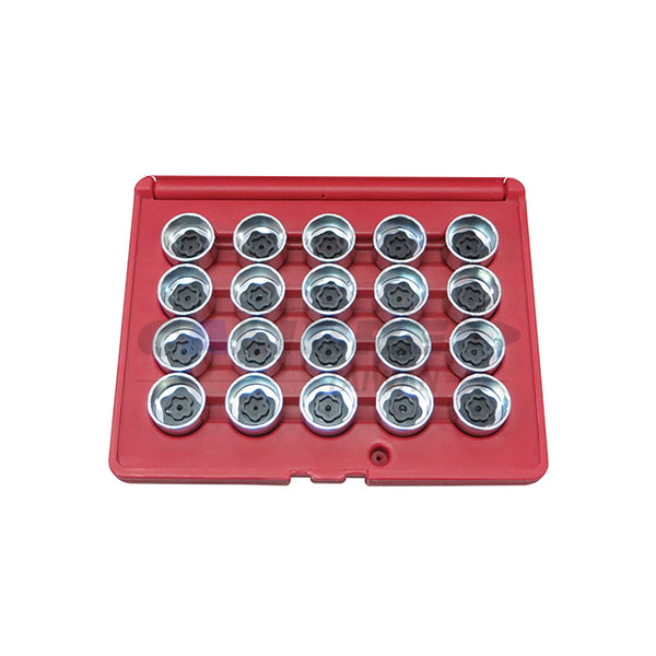 CAB0068 20pc Wheel Bolt Lock Set BMW – CAB0068 – Projen Tools